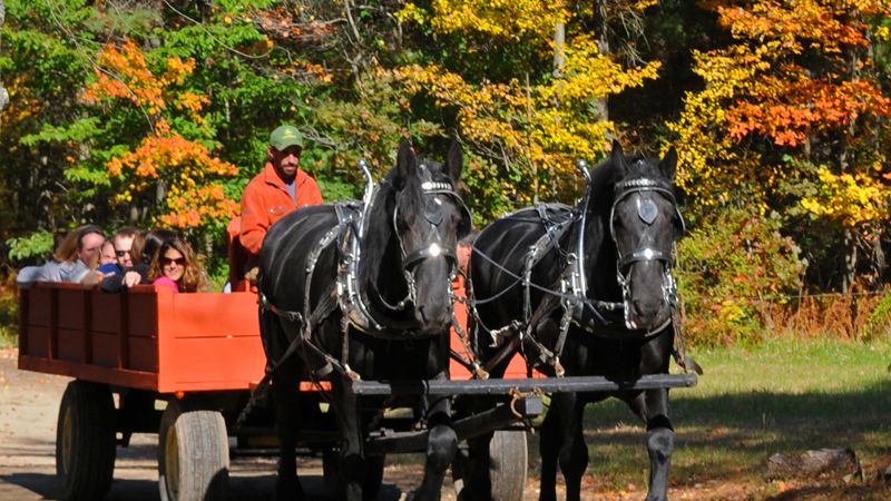 Wagon Rides - Charmingfare Farm